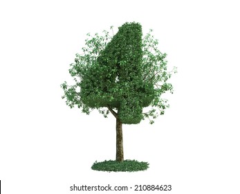 105,148 Number tree Images, Stock Photos & Vectors | Shutterstock