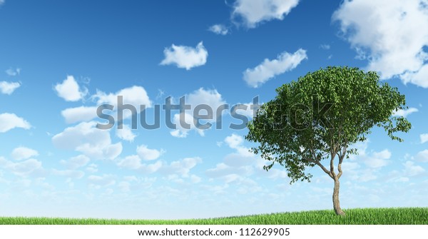 43.902 imagens de Clean air trees Imagens, fotos stock e vetores ...