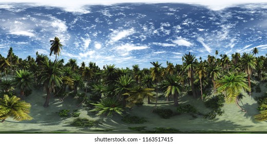 Tree Palm Trees Environment Map Hdri 库存插图 1163517415 | Shutterstock