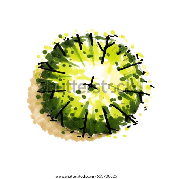 Tree Plan Symbol Landscape Design Drawing Stock Illustration 663730825 ...
