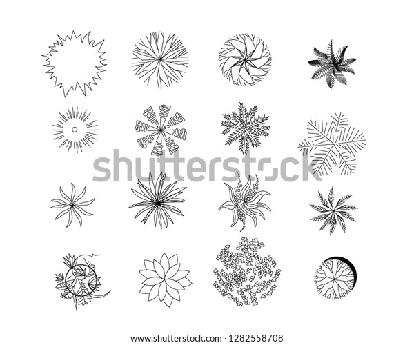Tree Plans Architectural Floor Plans Landscape Stock Illustration ...