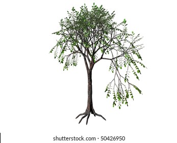 Tree Rendered On White Stock Illustration 50426950 | Shutterstock
