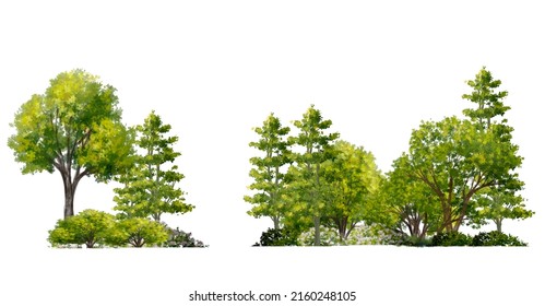 Tree Side View Isolated On White Stock Illustration 2160248105 ...