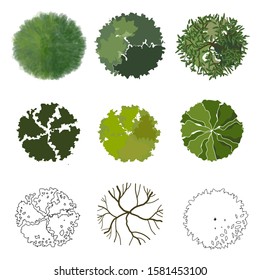 Trees Top Viewdifferent Trees Plants Vector Stok Vektör (Telifsiz ...