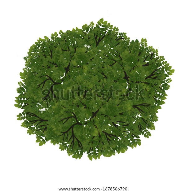 Tree Top View Landscape Planmonkey Pod Stock Illustration 1678506790 ...