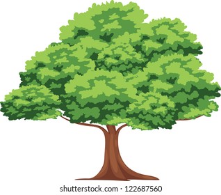 5,853 Jpg tree Images, Stock Photos & Vectors | Shutterstock
