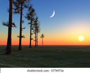 130,228 Moon tree landscape Images, Stock Photos & Vectors | Shutterstock