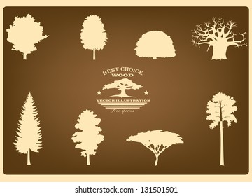 Trees Raster Version Vector Search My Stock Illustration 131501501 ...