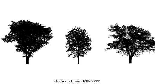 Trees Silhouette Collection Different Layers Tree Stock Illustration ...
