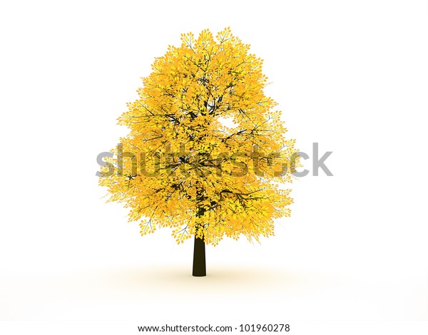 Trees Yellow Leaf Isolated Rendered Stock Illustration 101960278 ...
