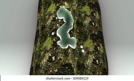 Trichoderma 3d Illustration Stock Illustration 509084119