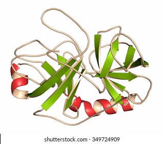 209 Trypsine Images, Stock Photos & Vectors | Shutterstock