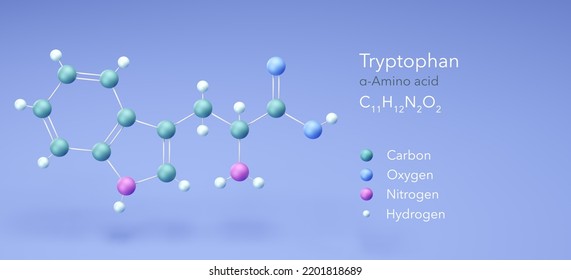 Tryptophan Molecular Structures Amino Acid 3d Stock Illustration ... Tryptophan Molecular Structures Amino Acid 3d Stock Illustration ...