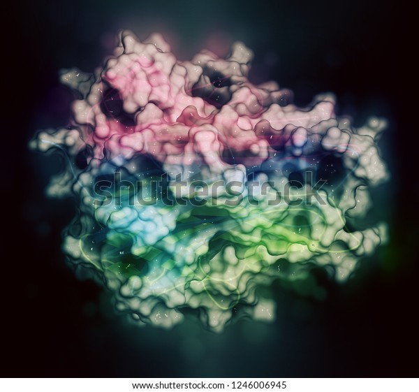 Tumor Necrosis Factor Alpha Tnf Cytokine Stock Illustration 1246006945 ...