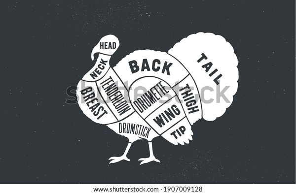 Turkey Butcher Guide Scheme Turkey Chart Stock Illustration 1907009128 ...