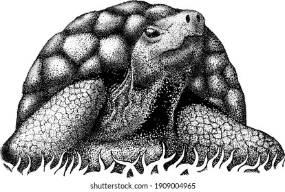 1,673 Pointillism animal Images, Stock Photos & Vectors | Shutterstock