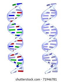 Regular Dna Sequence Dna Mutation Dna Stock Vector (Royalty Free ...