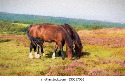 80 Quantock forest Images, Stock Photos & Vectors | Shutterstock