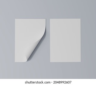 560 A4 flyer corners Images, Stock Photos & Vectors | Shutterstock