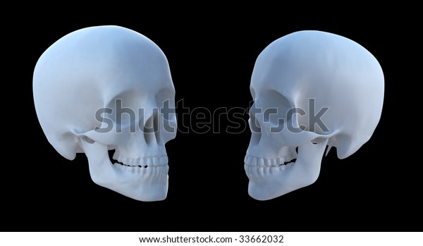 Two Views Human Skull Stock Illustration 33662032