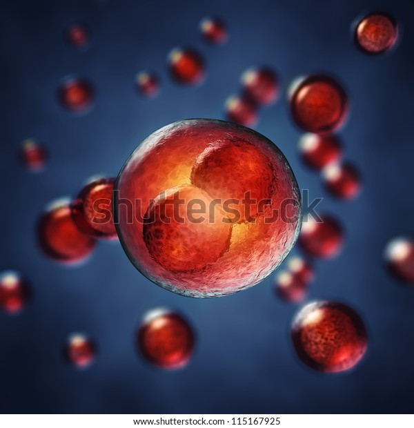 Twocell Embryo 3d Illustration Stock Illustration 115167925