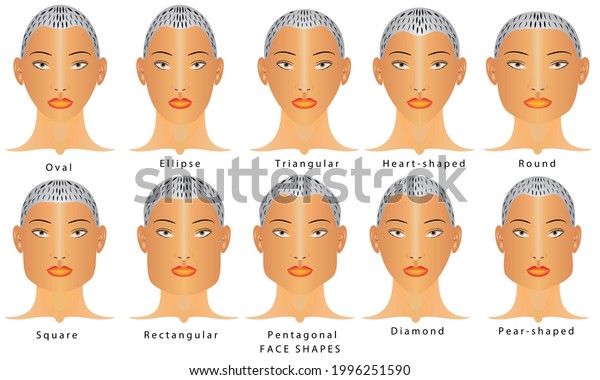 Tipos de caras. Formas faciales. Un: ilustración de stock 1996251590 ...