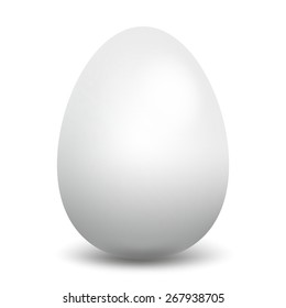 Egg Vector Illustration Stock Vector (Royalty Free) 51096469