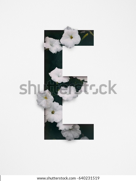 517 Letter E Made Flowers Images, Stock Photos & Vectors | Shutterstock