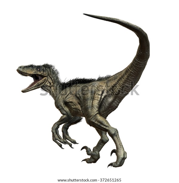 Utahraptor 3d Render On Isolated White Stock Illustration 372651265 ...