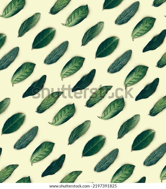 Various Green Leaf Patterns Arranged Obliquely Stock Illustration ...