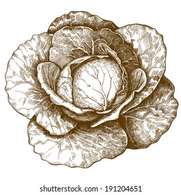 14,387 Vegetables etching Images, Stock Photos & Vectors | Shutterstock