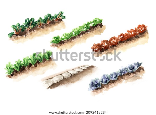 626,273 Vegetable Garden Isolated Images, Stock Photos & Vectors ...