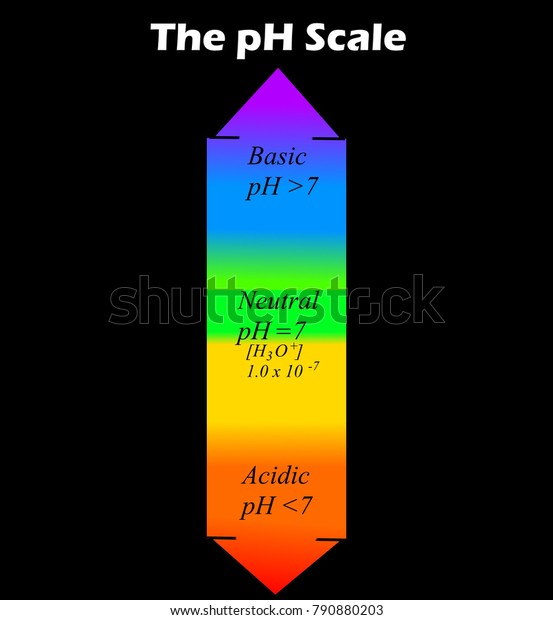 Vertical Ph Scale Showing Hydrogen Concentration Stock Illustration ...