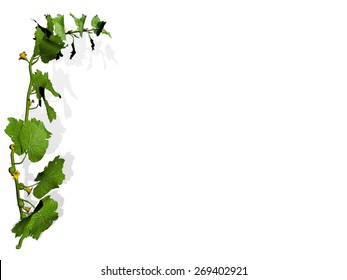 445 Leaf powerpoint 이미지, 스톡 사진 및 벡터 | Shutterstock