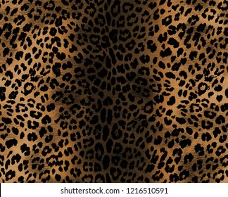 664+ Thousand Leopard Royalty-Free Images, Stock Photos & Pictures ...