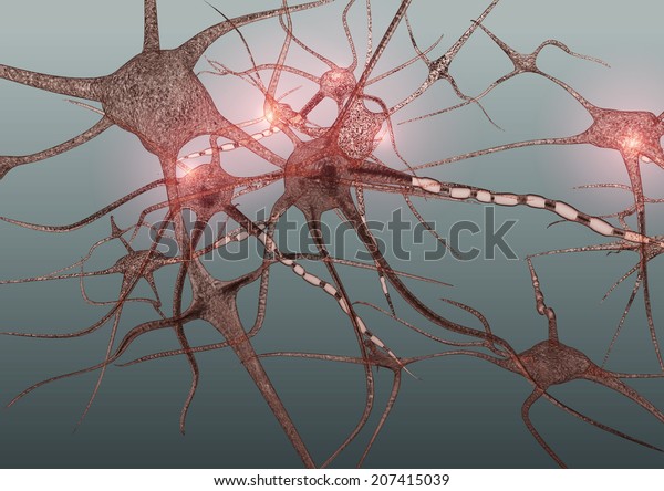 Visualization Microscopic View Neurons Stock Illustration 207415039