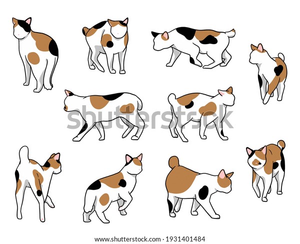 Walking Cat Bobtail Tortoiseshell Cat Set Stock Illustration 1931401484 ...
