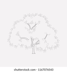 Walnut Tree Icon Line Element Illustration Stock Illustration ...