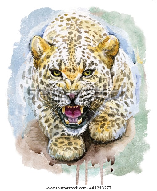 Watercolor Leopard Stock Illustration 441213277 | Shutterstock