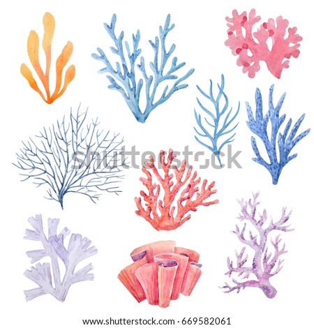 Watercolor Set Isolated Objects Drawing Bright Stock Illustration ...