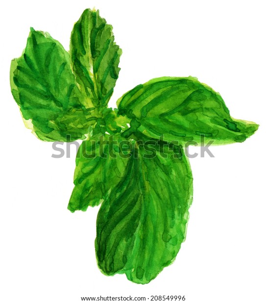 Watercolour Drawing Glass Bright Rose Wine Stock Illustration 208549996