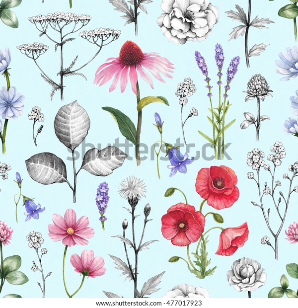 Wild Flowers Illustrations Seamless Pattern Stock Illustration 477017923