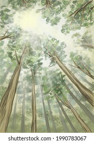 Wild Forest Trees View Below Illustration Stock Illustration 1990783067 ...