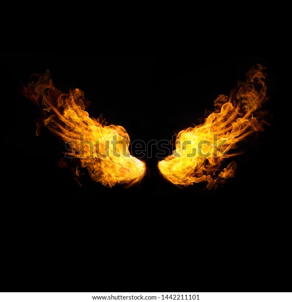 57,584 Wings With Fire Images, Stock Photos & Vectors | Shutterstock