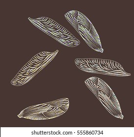 Set Wings Various Insects Silhouette Wings Stock Vector (Royalty Free ...