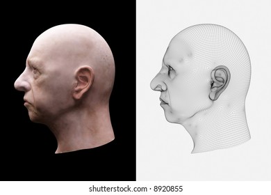 Wireframe Rendered Head Old Man Isolated Stock Illustration 8920855 ...