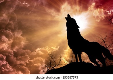 Wolf Howling Sunset Stock Illustration 153587573 | Shutterstock