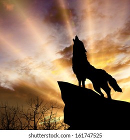 Wolf Howling Sunset Stock Illustration 161747525 | Shutterstock