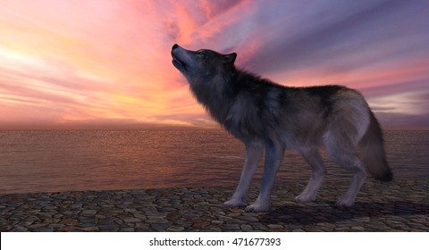 Wolf Howling Sunset 3d Rendering Stock Illustration 471677393 ...