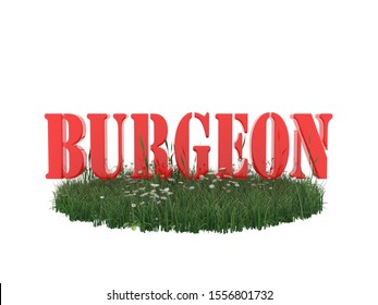 Stock Photo and Image Portfolio by quique328 | Shutterstock